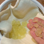 Japanski kristali – vodeni kefir